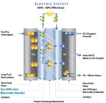 AvCarb’s GDL and Electrode Newsletter